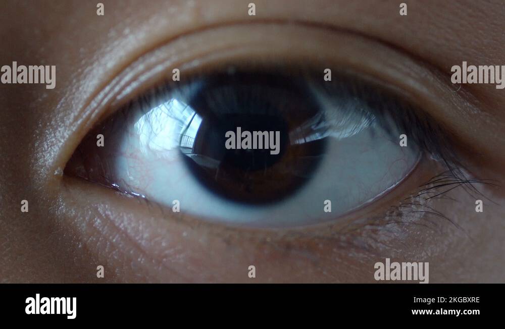 Pupil eye black not animal Stock Videos & Footage - HD and 4K Video ...