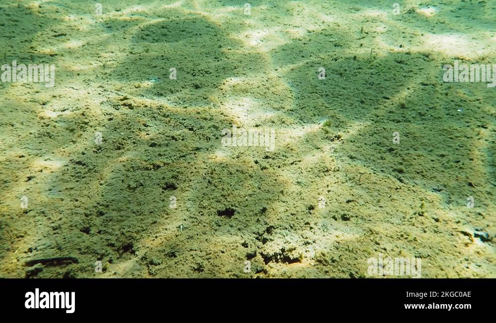 Mud figures Stock Videos & Footage - HD and 4K Video Clips - Alamy