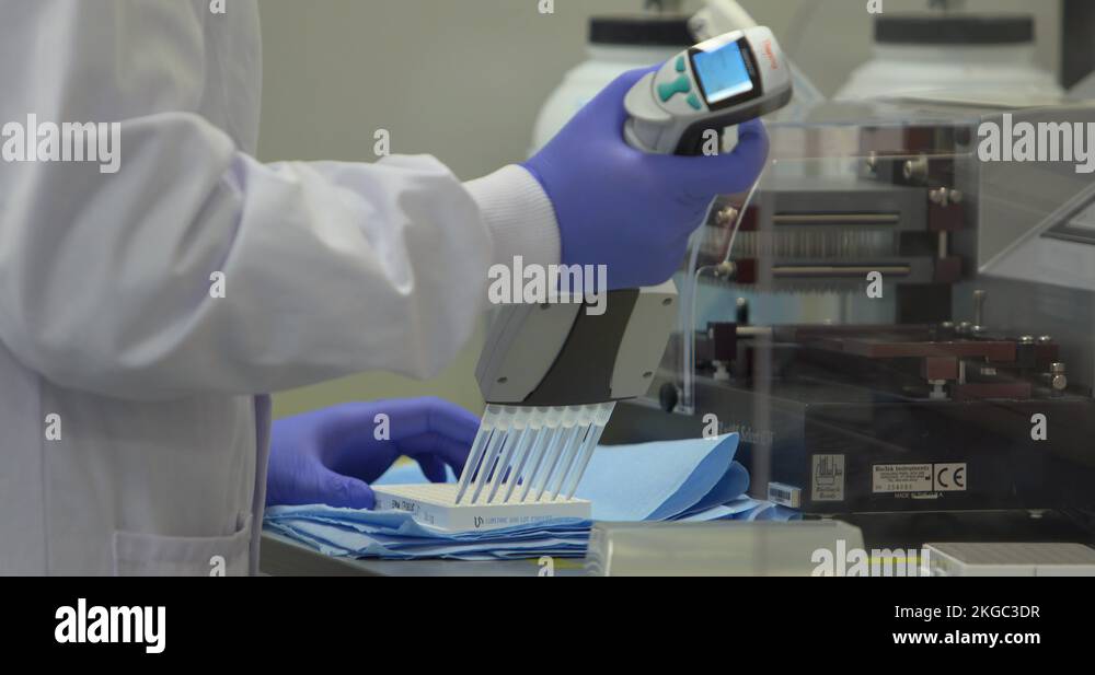 Pipette tray Stock Videos & Footage - HD and 4K Video Clips - Alamy