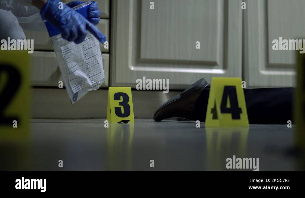 CSI With Evidence Bag Work Around Dead Body, Murder Victim, 4K Stock ...