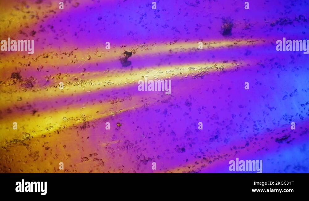 Plastic under microscope Stock Videos & Footage - HD and 4K Video Clips ...