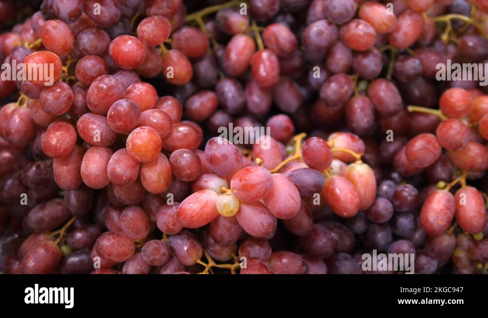 Grapes texture Stock Videos & Footage - HD and 4K Video Clips - Alamy