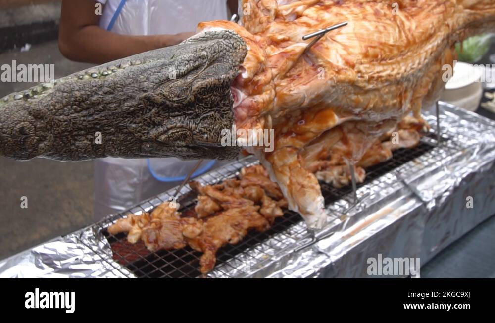Crocodile barbecue Stock Videos & Footage - HD and 4K Video Clips - Alamy