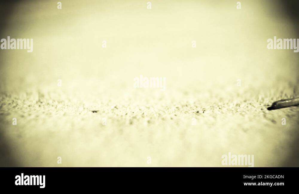 Fragile worm Stock Videos & Footage - HD and 4K Video Clips - Alamy