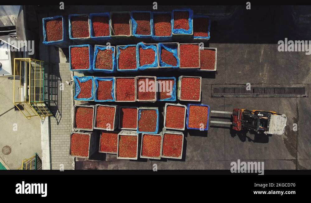 Transportation of fruit Stock Videos & Footage - HD and 4K Video Clips ...