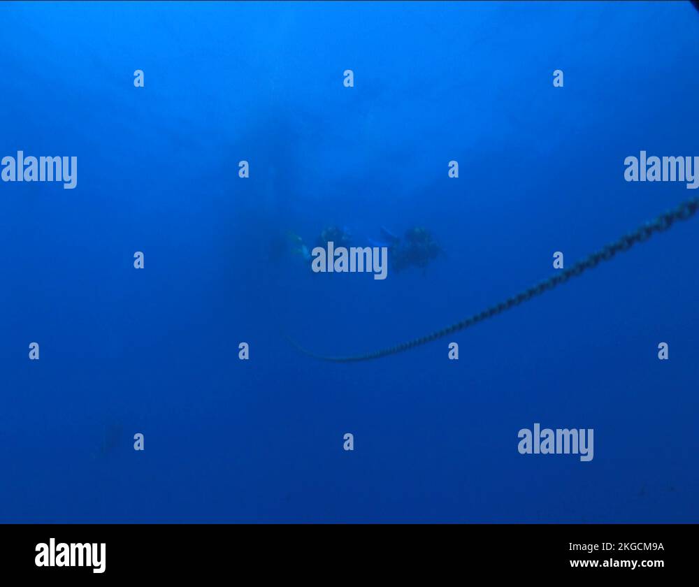 scuba divers exploring underwater habitat blue ocean scenery Stock ...