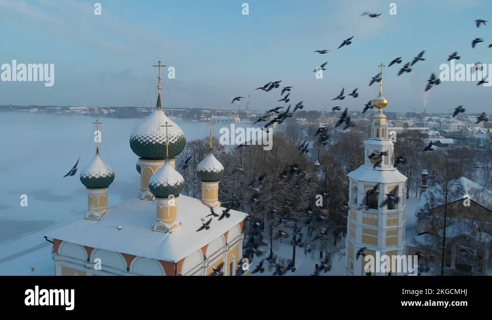 Birds attacking people Stock Videos & Footage - HD and 4K Video Clips ...