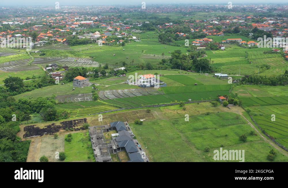 Flying over Rice Paddy fields in a residential area in Bali Indonesia ...