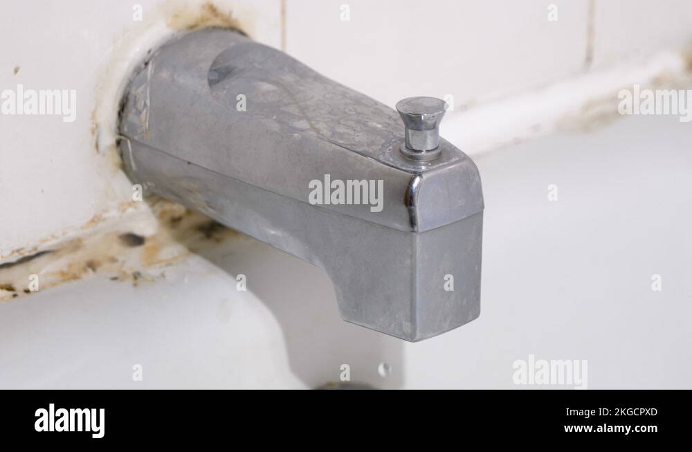 Bath fungus Stock Videos & Footage - HD and 4K Video Clips - Alamy