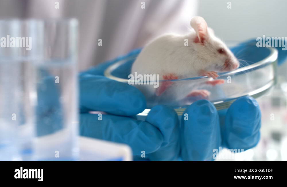 Experimental test Stock Videos & Footage - HD and 4K Video Clips - Alamy