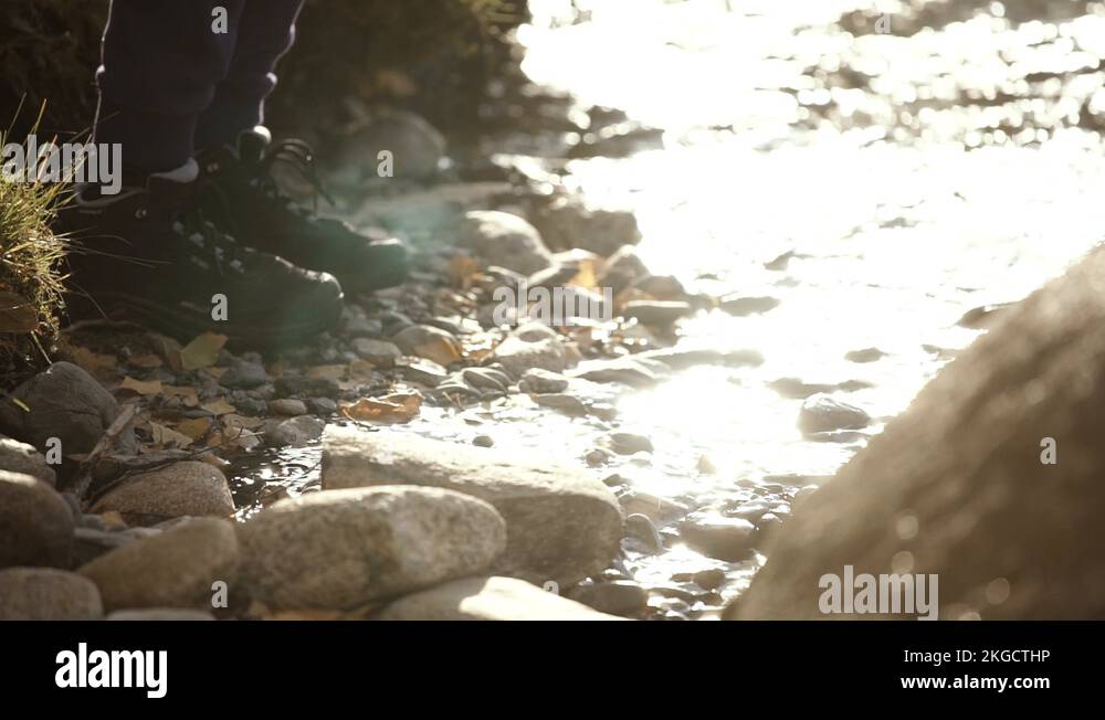Freshwater dip Stock Videos & Footage - HD and 4K Video Clips - Alamy