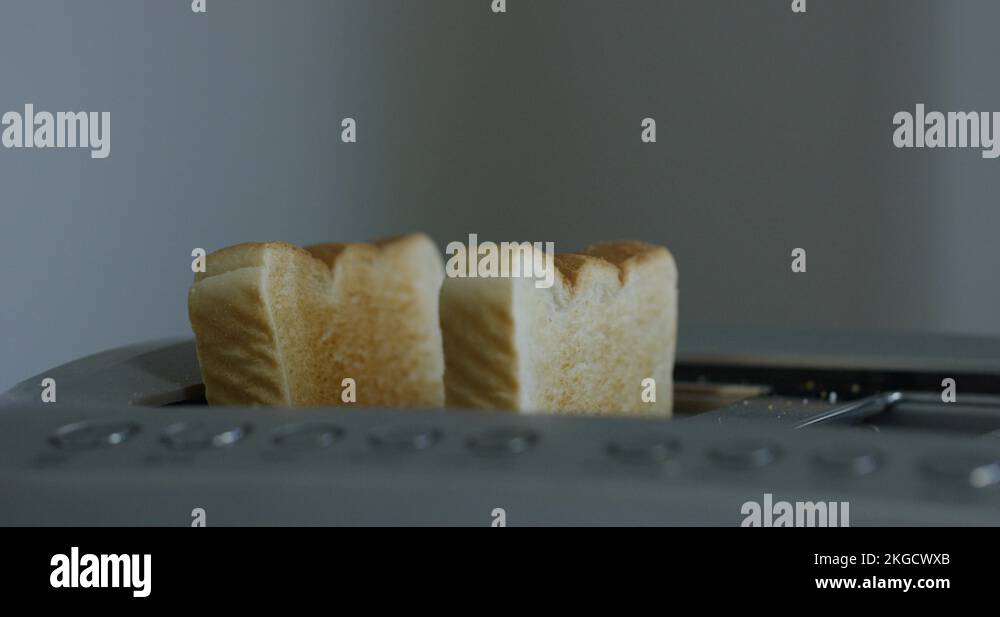 Wholemeal toasted bread Stock Videos & Footage - HD and 4K Video Clips ...