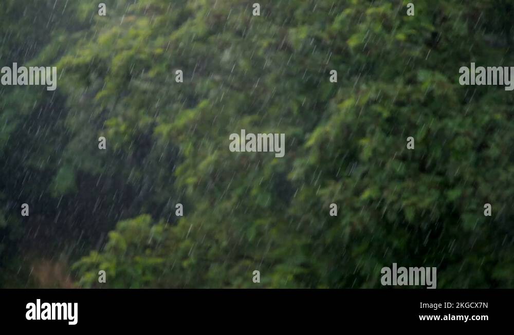 Heavy summer Stock Videos & Footage - HD and 4K Video Clips - Alamy