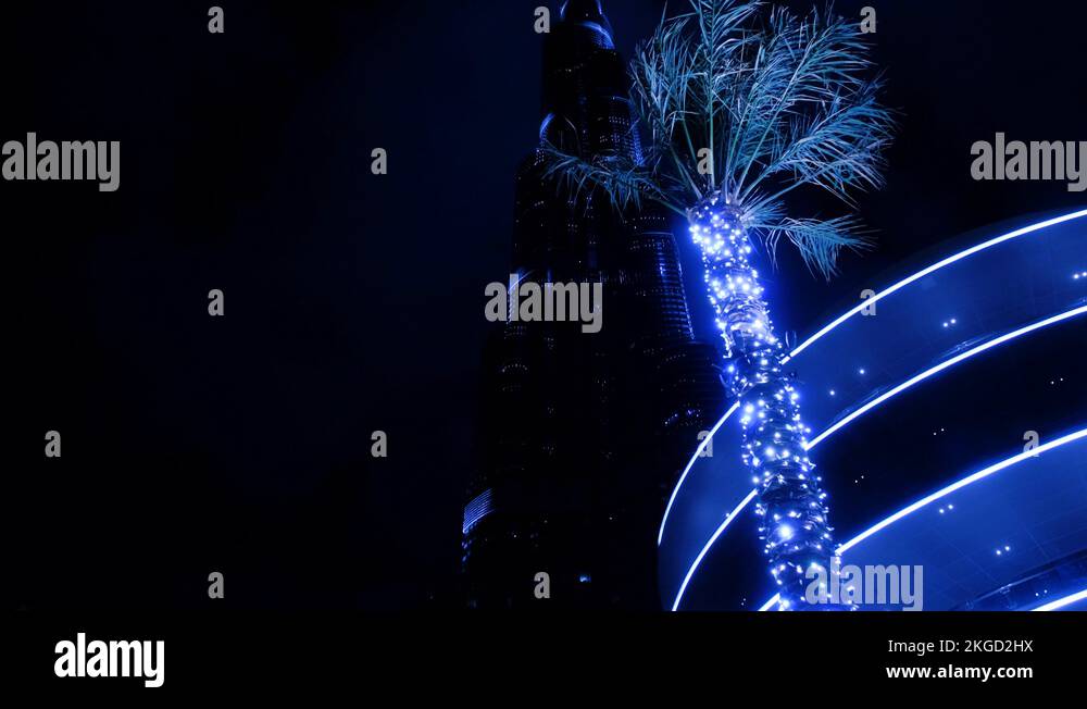 Dubai cityscape palm tree Stock Videos & Footage - HD and 4K Video ...