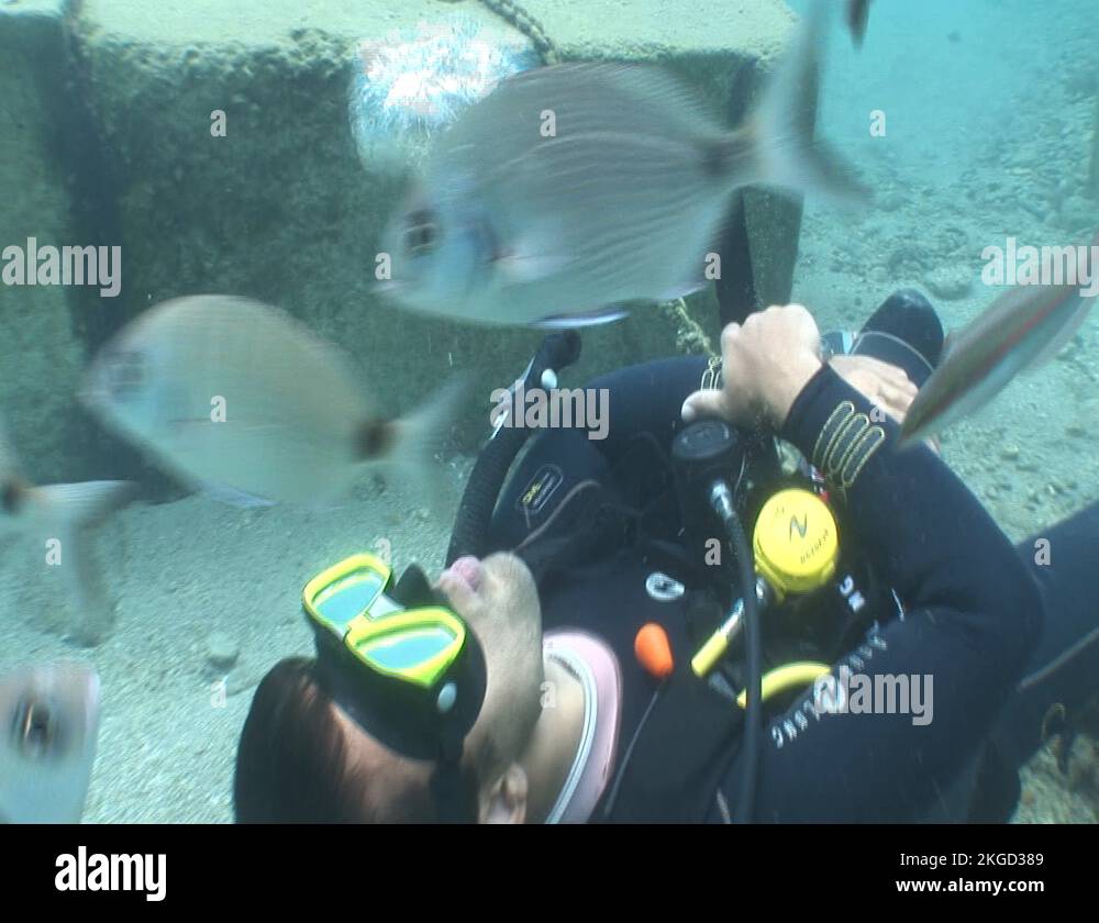 Toroidal ring Stock Videos & Footage - HD and 4K Video Clips - Alamy