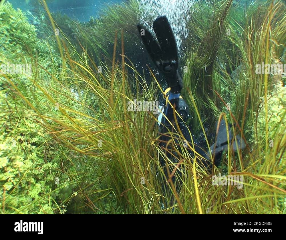 Underwater fresh water Stock Videos & Footage - HD and 4K Video Clips ...