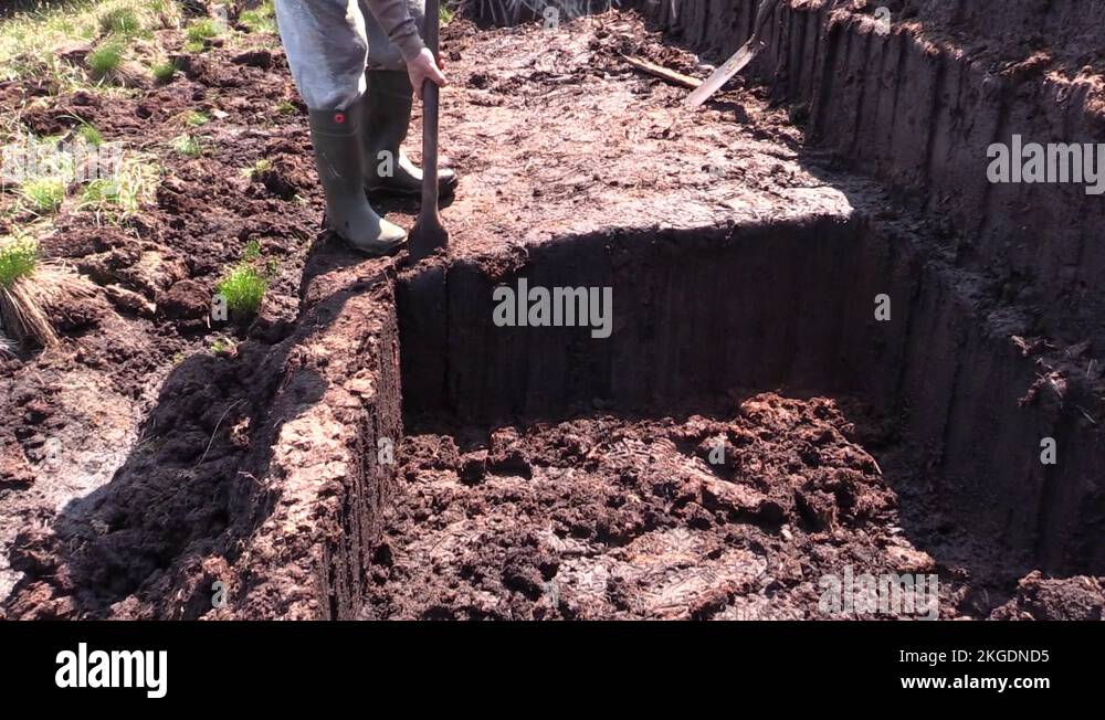 Peat bog donegal Stock Videos & Footage - HD and 4K Video Clips - Alamy