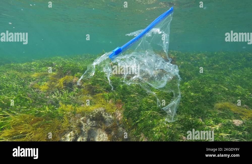 Underwater ocean plastic australia Stock Videos & Footage - HD and 4K ...