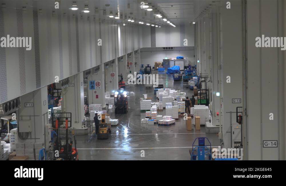 Toyosu fish market Stock Videos & Footage - HD and 4K Video Clips - Alamy