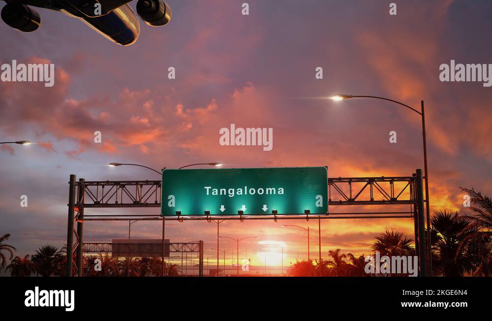 Tangalooma road Stock Videos & Footage - HD and 4K Video Clips - Alamy