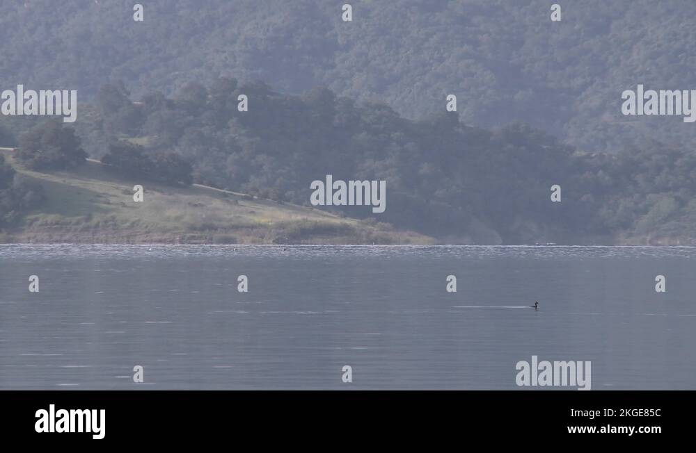 Eight person boat Stock Videos & Footage - HD and 4K Video Clips - Alamy