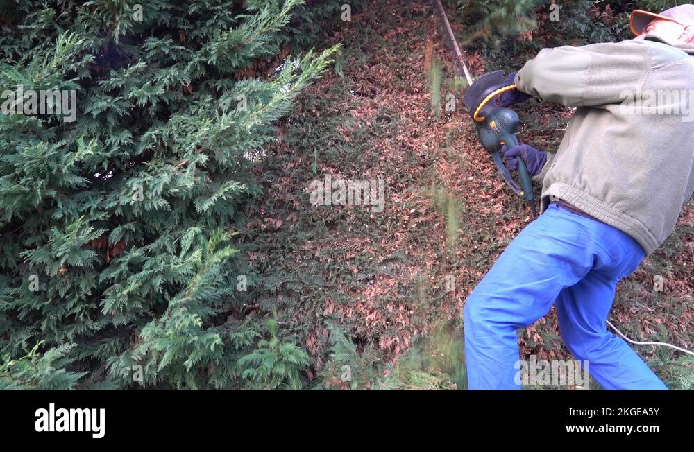 Fence alignment Stock Videos & Footage - HD and 4K Video Clips - Alamy