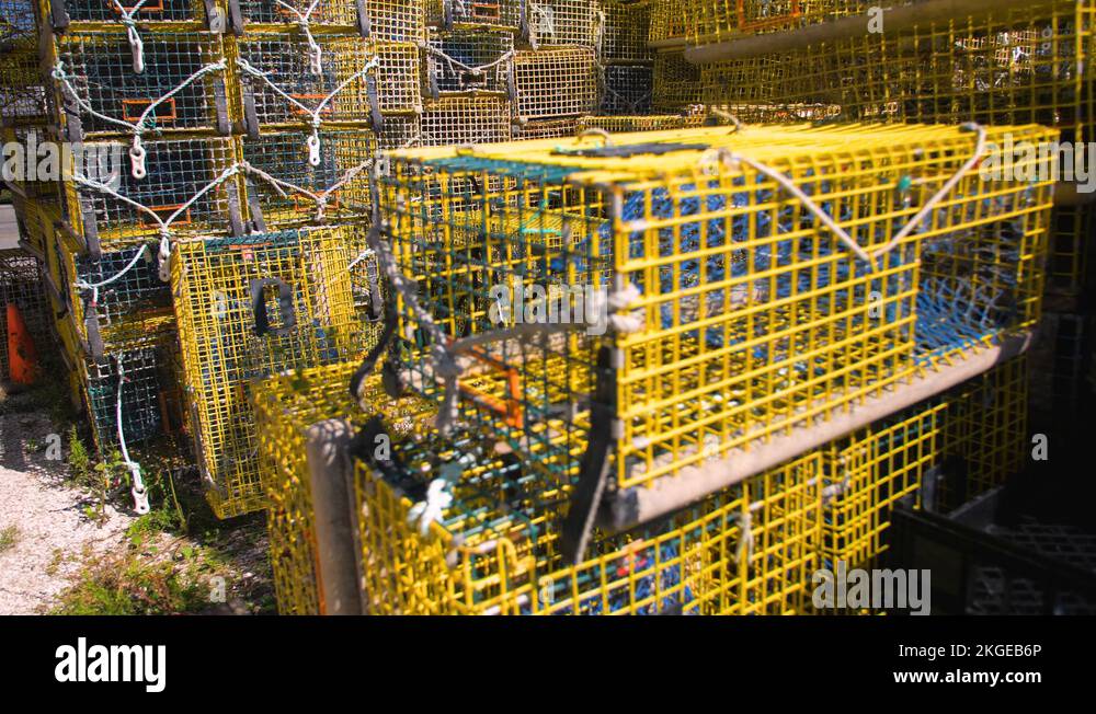 Lobster cage cages Stock Videos & Footage - HD and 4K Video Clips - Alamy
