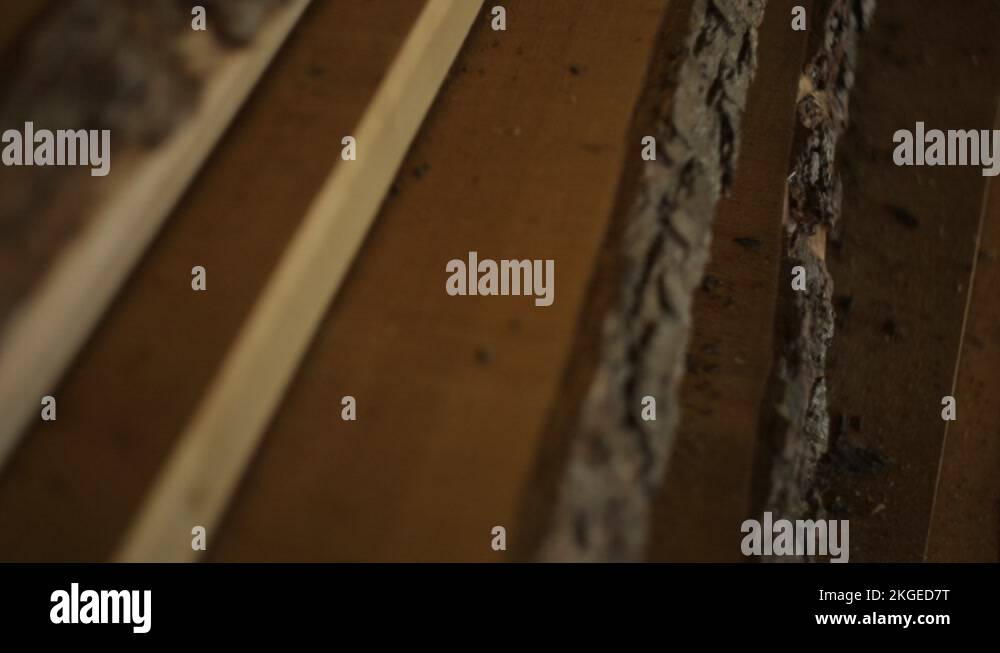 Sawmill for processing and processing of wood, the manufacture of wood ...