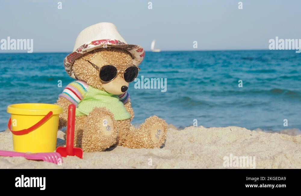 Teddy bear beach Stock Videos & Footage - HD and 4K Video Clips - Alamy