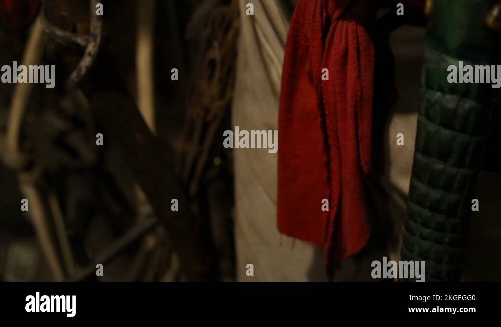 Werewolf legend Stock Videos & Footage - HD and 4K Video Clips - Alamy
