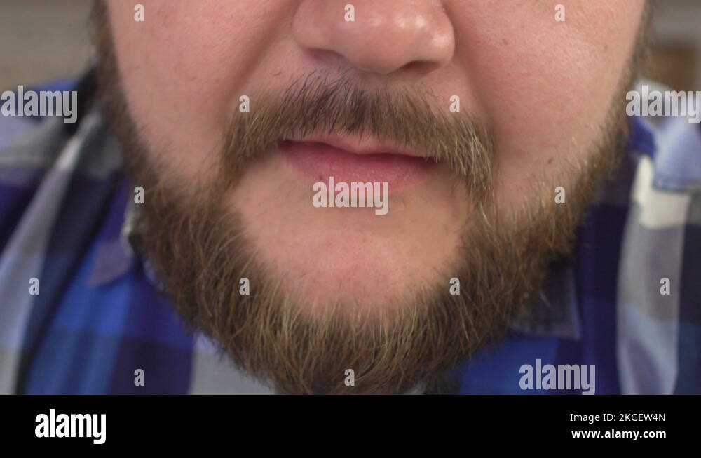 Fatty chips Stock Videos & Footage - HD and 4K Video Clips - Alamy