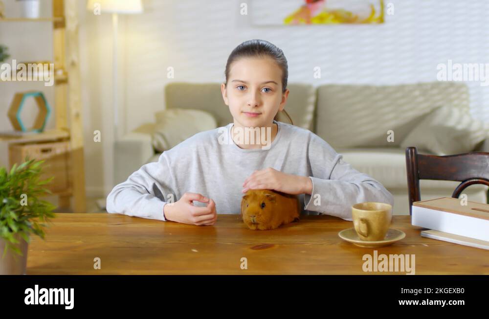 Pig call Stock Videos & Footage - HD and 4K Video Clips - Alamy