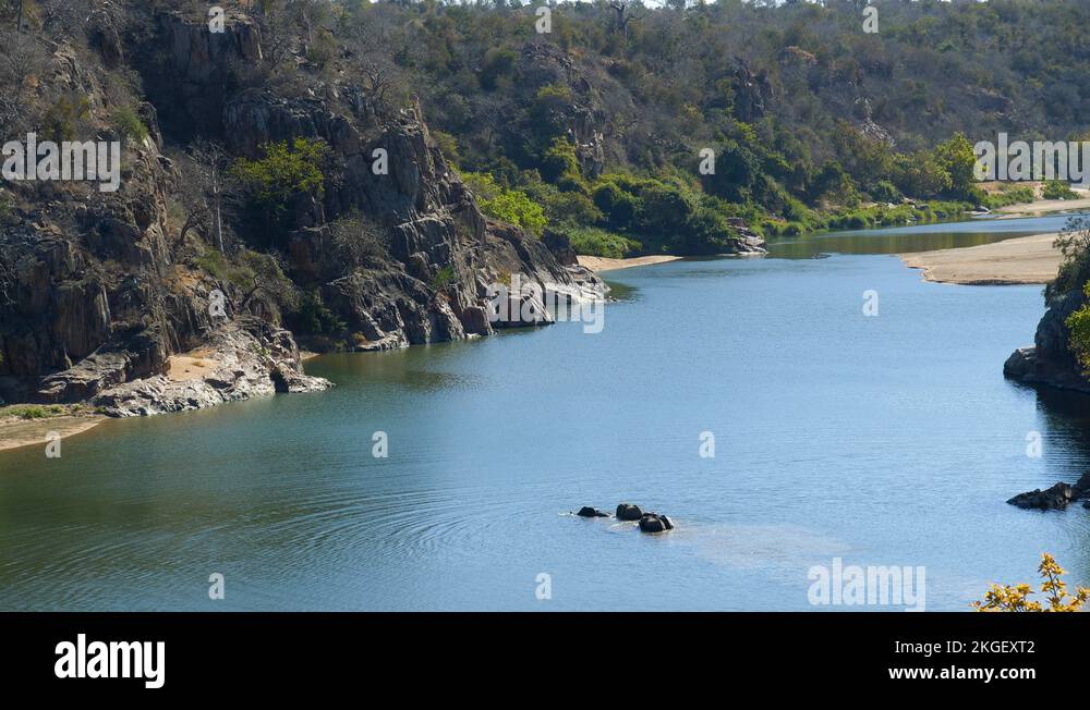 Elephants save Stock Videos & Footage - HD and 4K Video Clips - Alamy