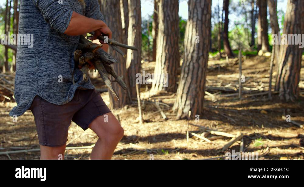 Man gathering wood in forest Stock Videos & Footage - HD and 4K Video ...