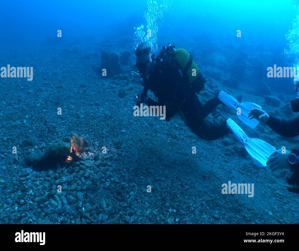 scuba divers exploring underwater habitat blue ocean scenery Stock ...