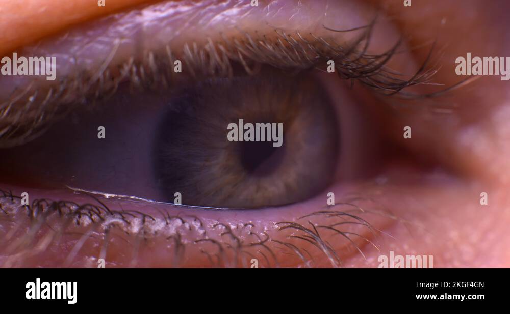 Eyelid anatomy Stock Videos & Footage - HD and 4K Video Clips - Alamy