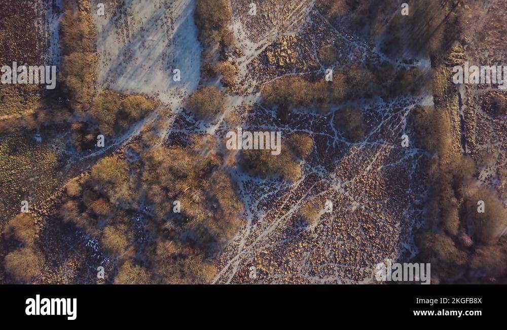 Winter thaw Stock Videos & Footage - HD and 4K Video Clips - Alamy