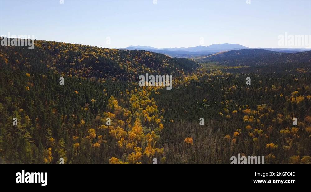Nature reserve forests Stock Videos & Footage - HD and 4K Video Clips ...