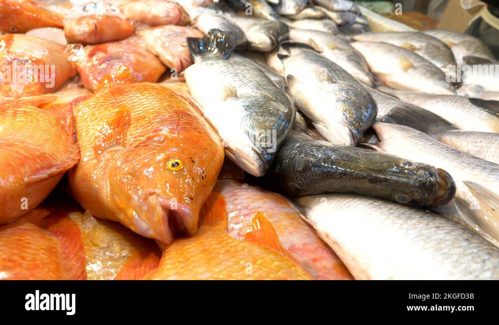 Traditional Thai sea food market, with fresh seafood Stock Video ...