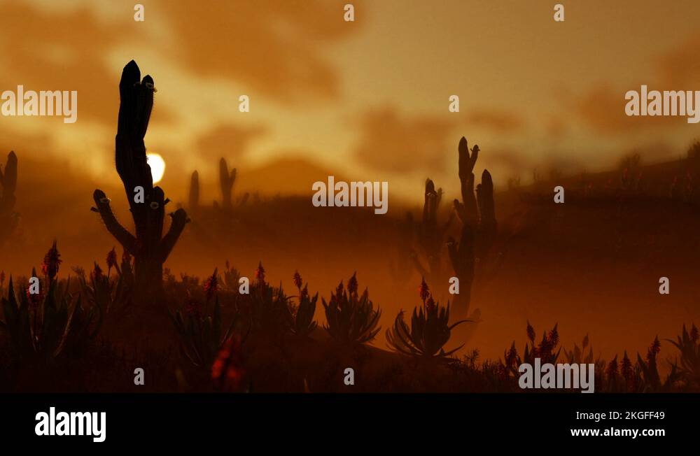 Woman Running in the Desert with Saguaro Cactus against morning Sunrise ...