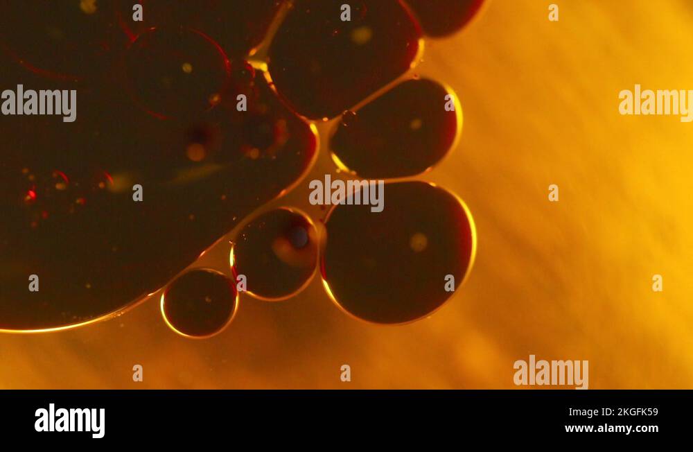 Oil water abstract Stock Videos & Footage - HD and 4K Video Clips - Alamy