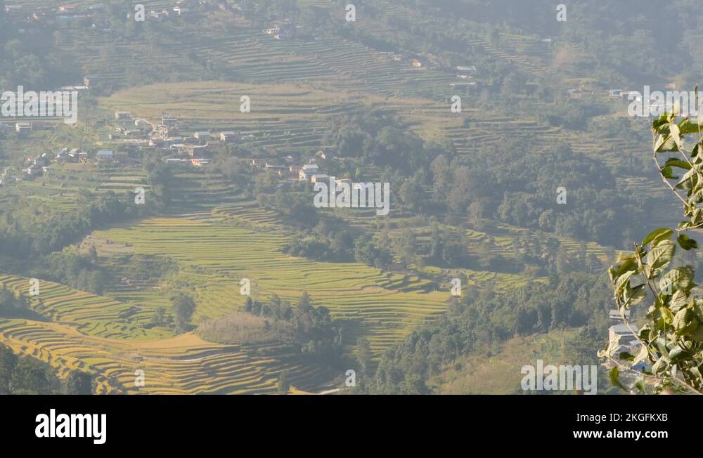Landscape of rice terraces in countryside. Panoramic view of rice ...