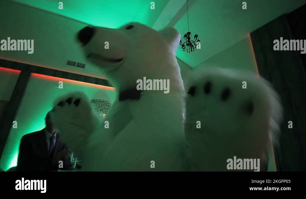 The polar party Stock Videos & Footage - HD and 4K Video Clips - Alamy