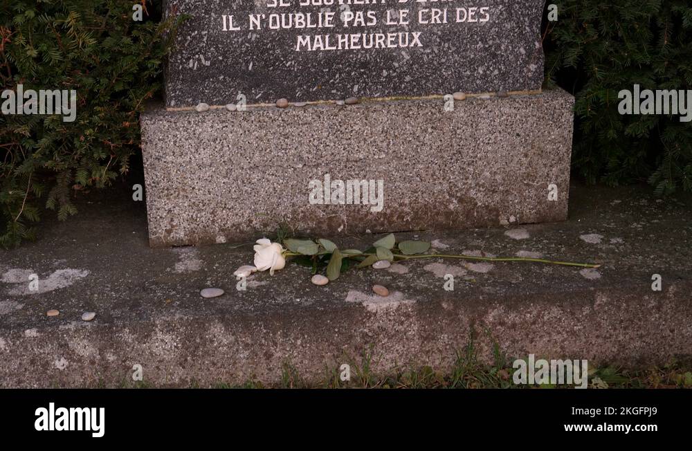 Remembrance symbols Stock Videos & Footage - HD and 4K Video Clips - Alamy