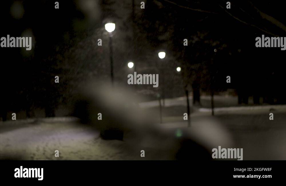 Winter snowstorm in the park at night. Peaceful backdrop of an empty ...