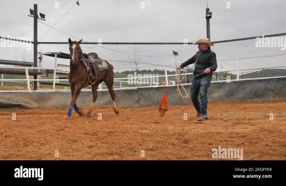 Gallop change Stock Videos & Footage - HD and 4K Video Clips - Alamy