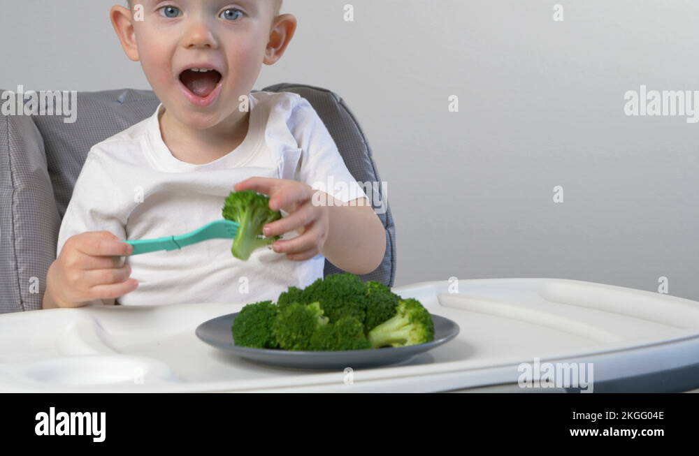 Cute kid ( two years old child, caucasian little boy) eating broccoli ...