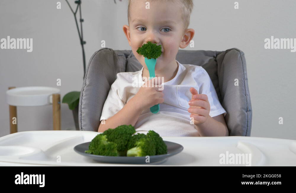 Cute kid ( two years old child, caucasian little boy) eating broccoli ...