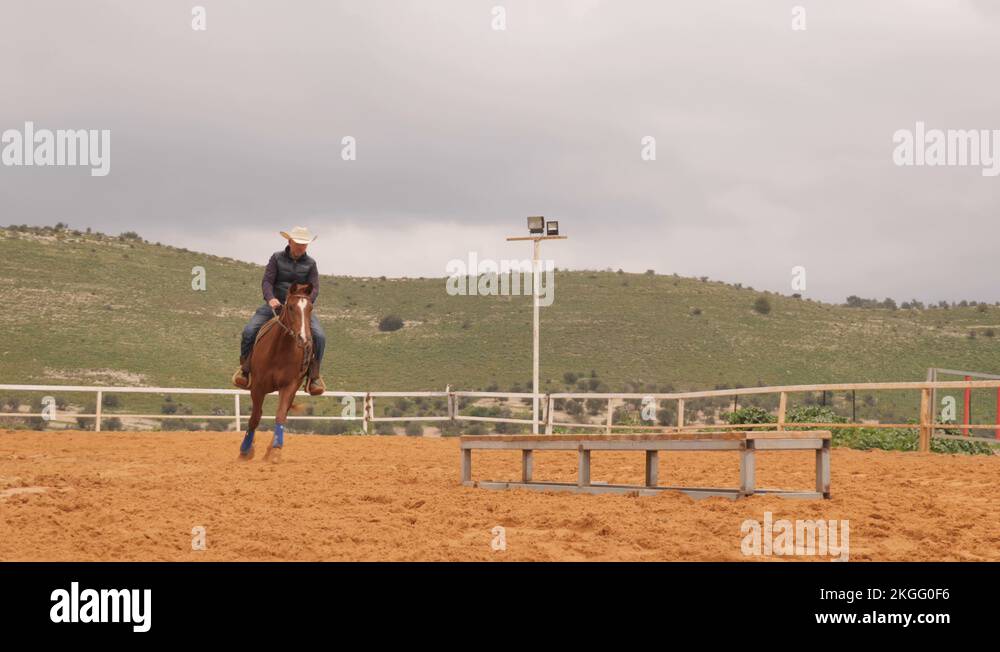 Horse ramp Stock Videos & Footage - HD and 4K Video Clips - Alamy