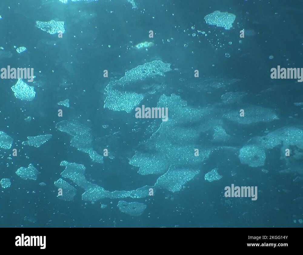 dirty foam on the surface of ocean sea water underwater waves pollution ...